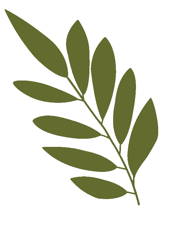 Rustic Wisdom - Health Happiness Harmony